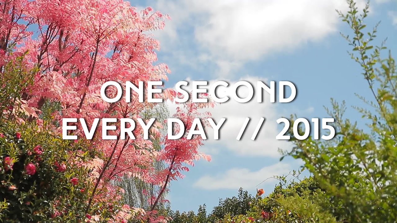 One Second Every Day // 2015 - YouTube