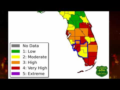 Two Collier County Fires merge - YouTube