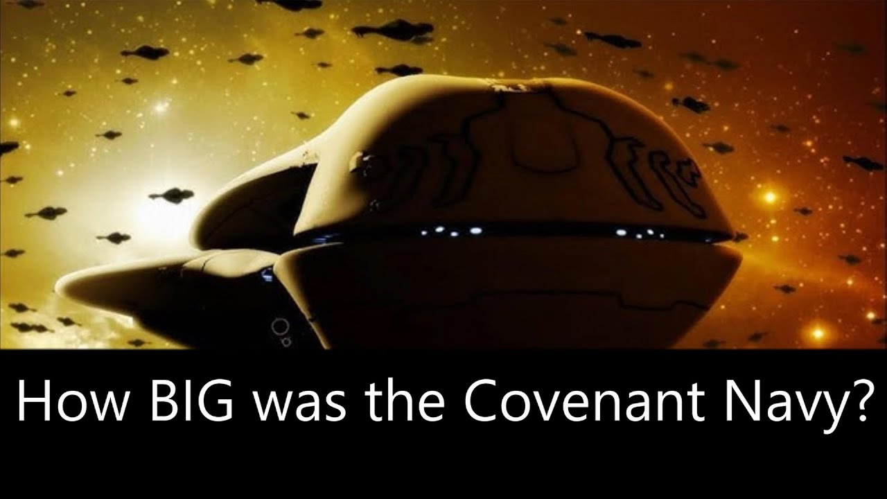 How LARGE was the Covenant Navy? - Halo Lore - YouTube