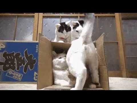 Як я вилажу із автобуса