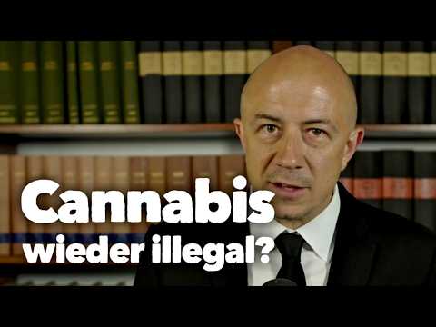Cannabis, Rückschritt ins Verbot: Innenministerkonferenz und die Sehnsucht nach Repression – Live