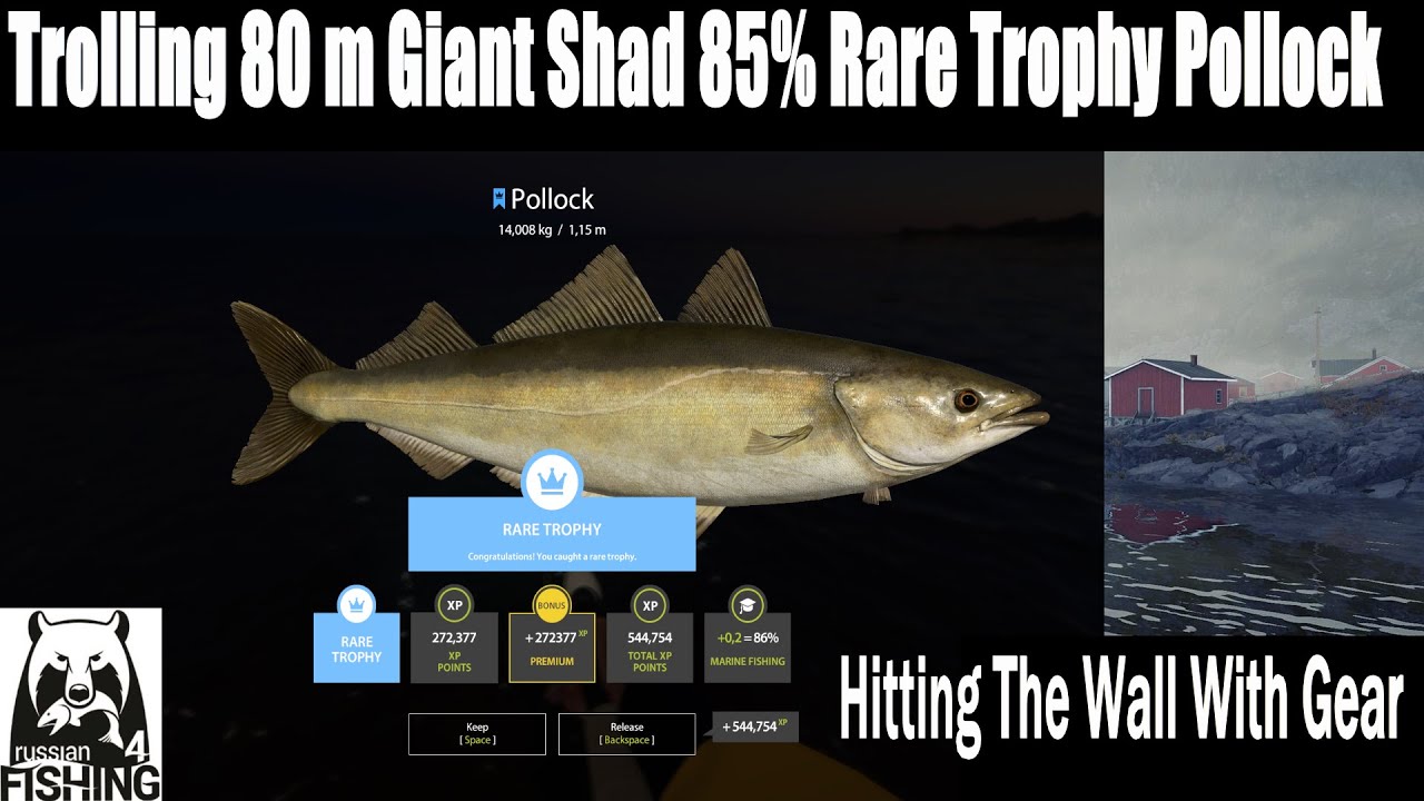 Russian Fishing 4, Trolling 80 m Giant Shad 85%, Rare Trophy Pollock ...