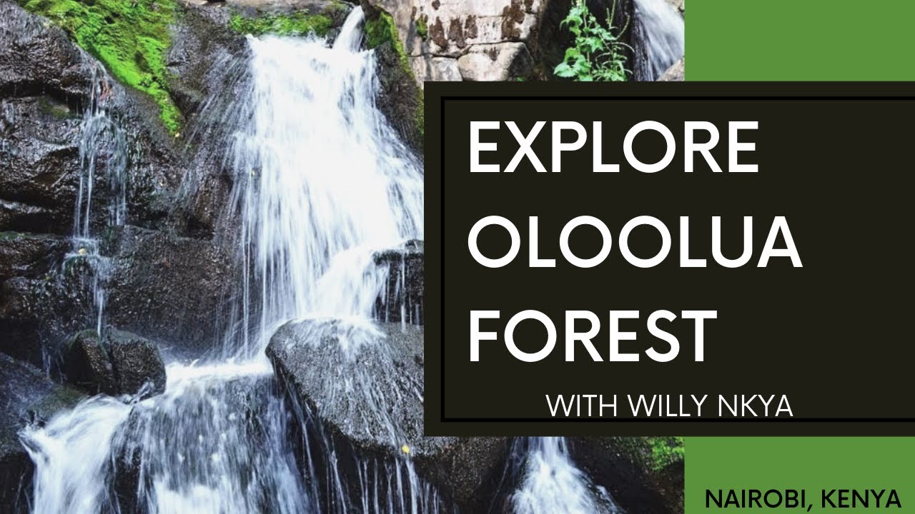 EXPLORING OLOOLUA FOREST -Nairobi, Kenya and Filming a movie in a ...
