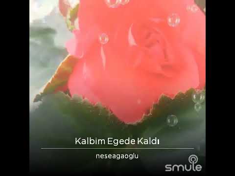NEŞE AĞAOĞLU - KALBİM EGE DE KALDI -13 Haziran 2020