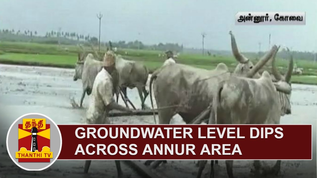 Groundwater level dips across Annur Area | Farmers | Thanthi TV - YouTube