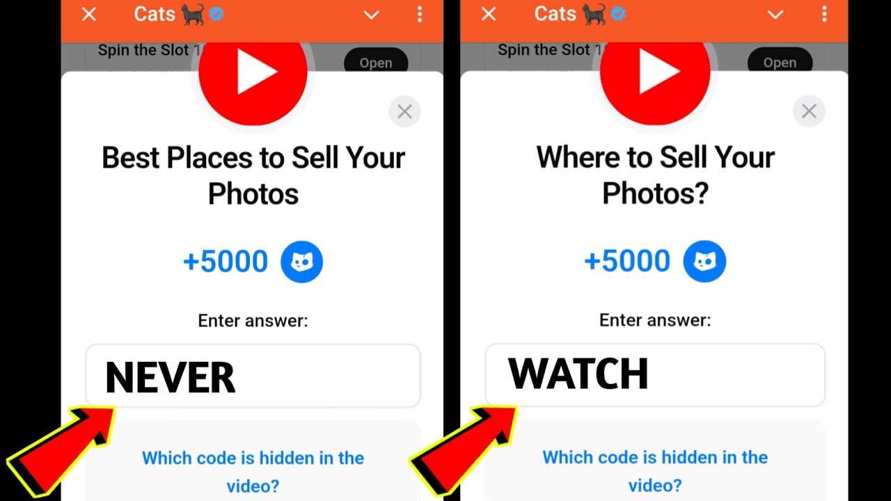Best Places to Sell Your Photos Cats Code | Where to Sell Your Photos ...