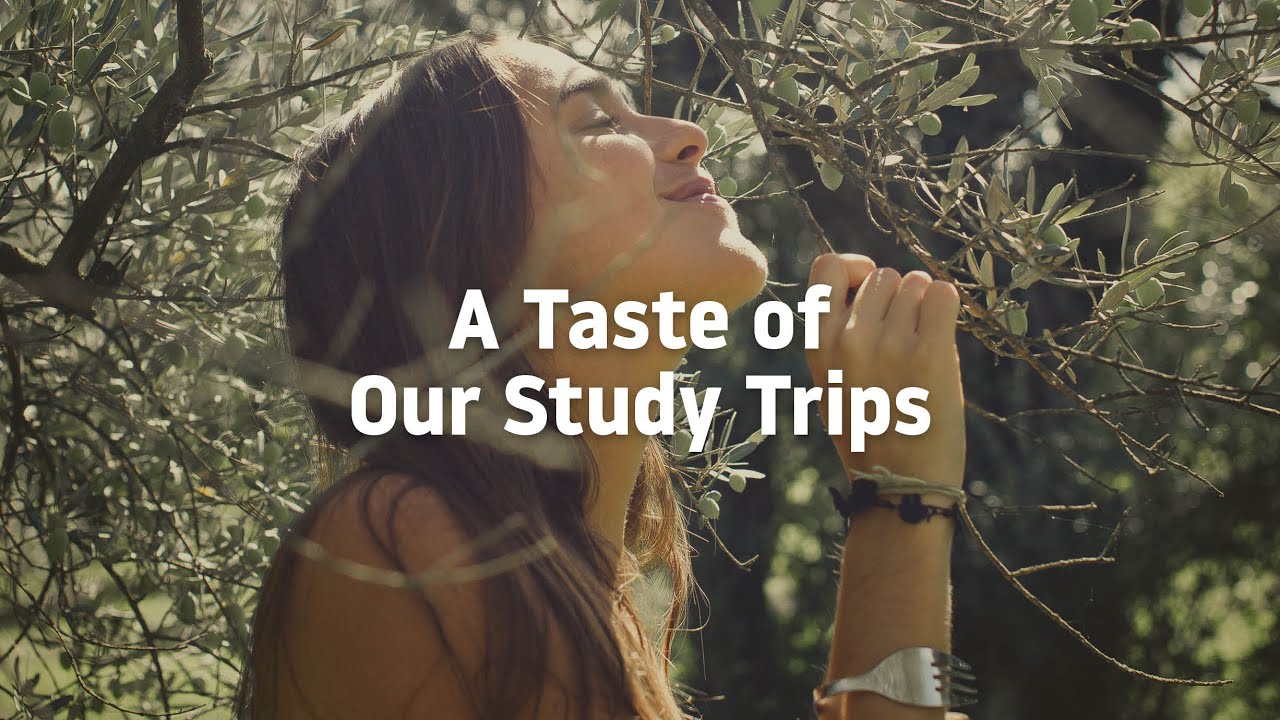 A Taste of Our Study Trips - YouTube