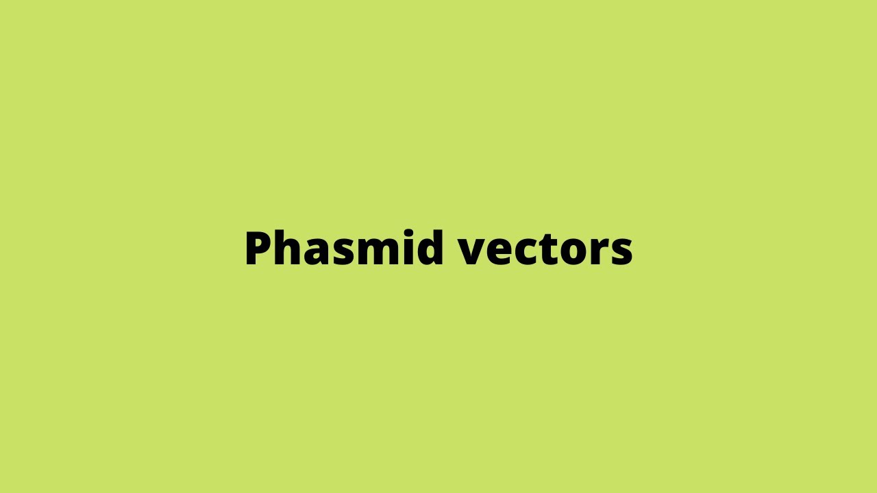 Phasmid vectors || Genetic Engineering - YouTube