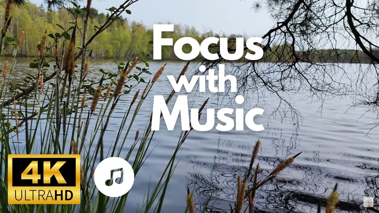 Focus with Music and Relax by the Lake, Music for Studying, Music for ...