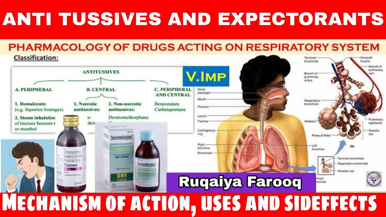 Pharmacology of Anti tussives and Expectorants.|Classifications and ...