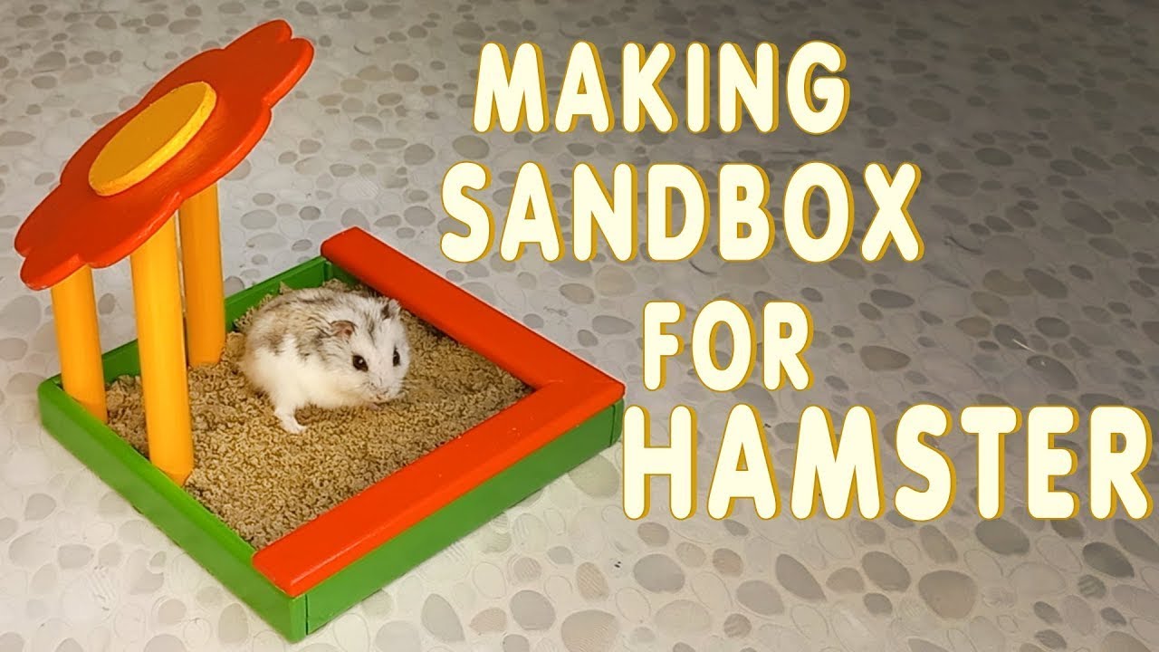 How to make SANDBOX FOR HAMSTER - YouTube