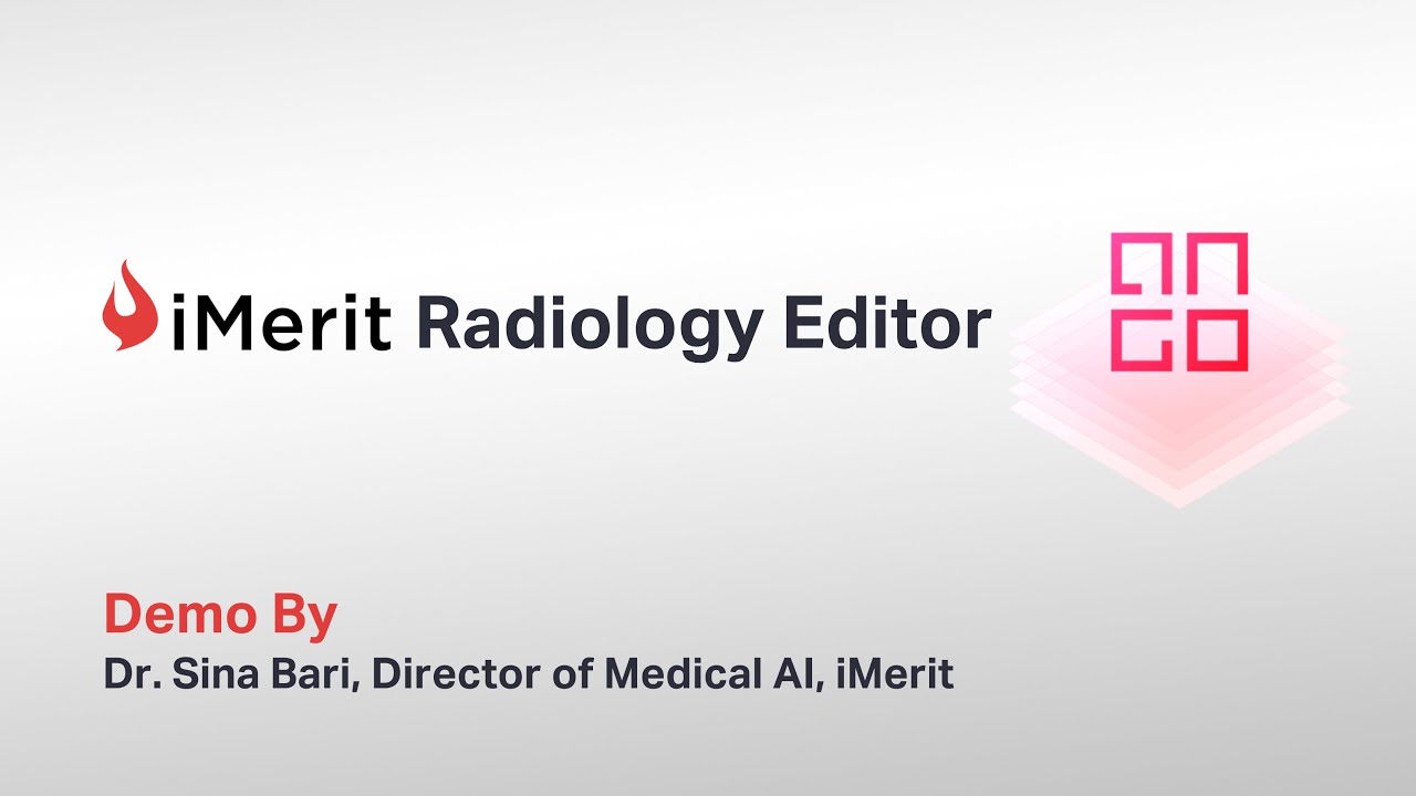 iMerit Radiology Editor - Demo - YouTube