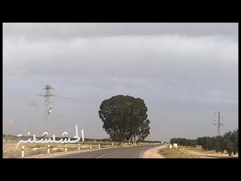 Hachichina, Graiba الحشيشينة - YouTube