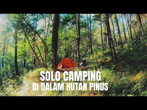 solo camp di dalam hutan pinus #solocamping - YouTube