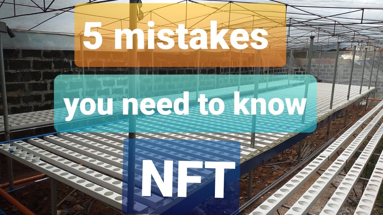 5 IMPORTANT THINGS IN NFT HYDROPONICS SYSTEM - YouTube