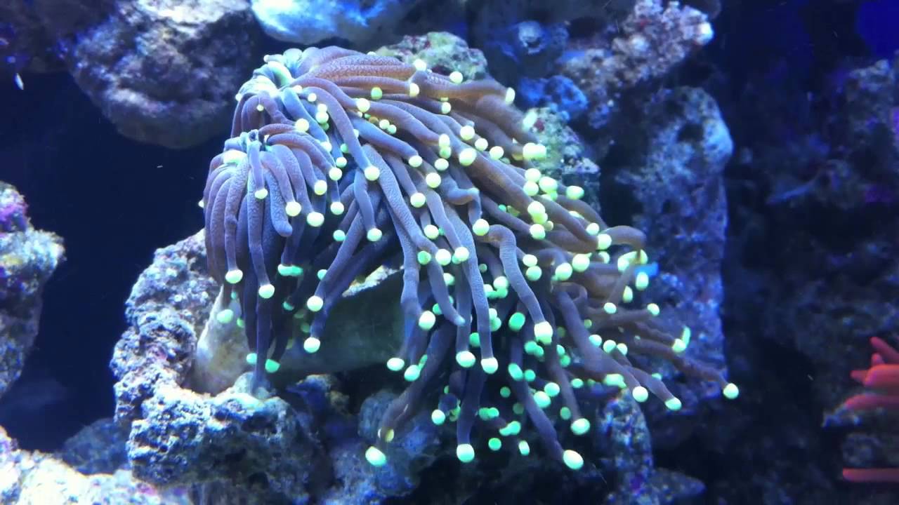 125 Gallon New Aquascape - YouTube