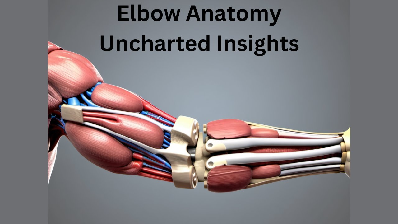 Beyond the Bend: An Odyssey through Elbow Anatomy - Uncharted Insights ...