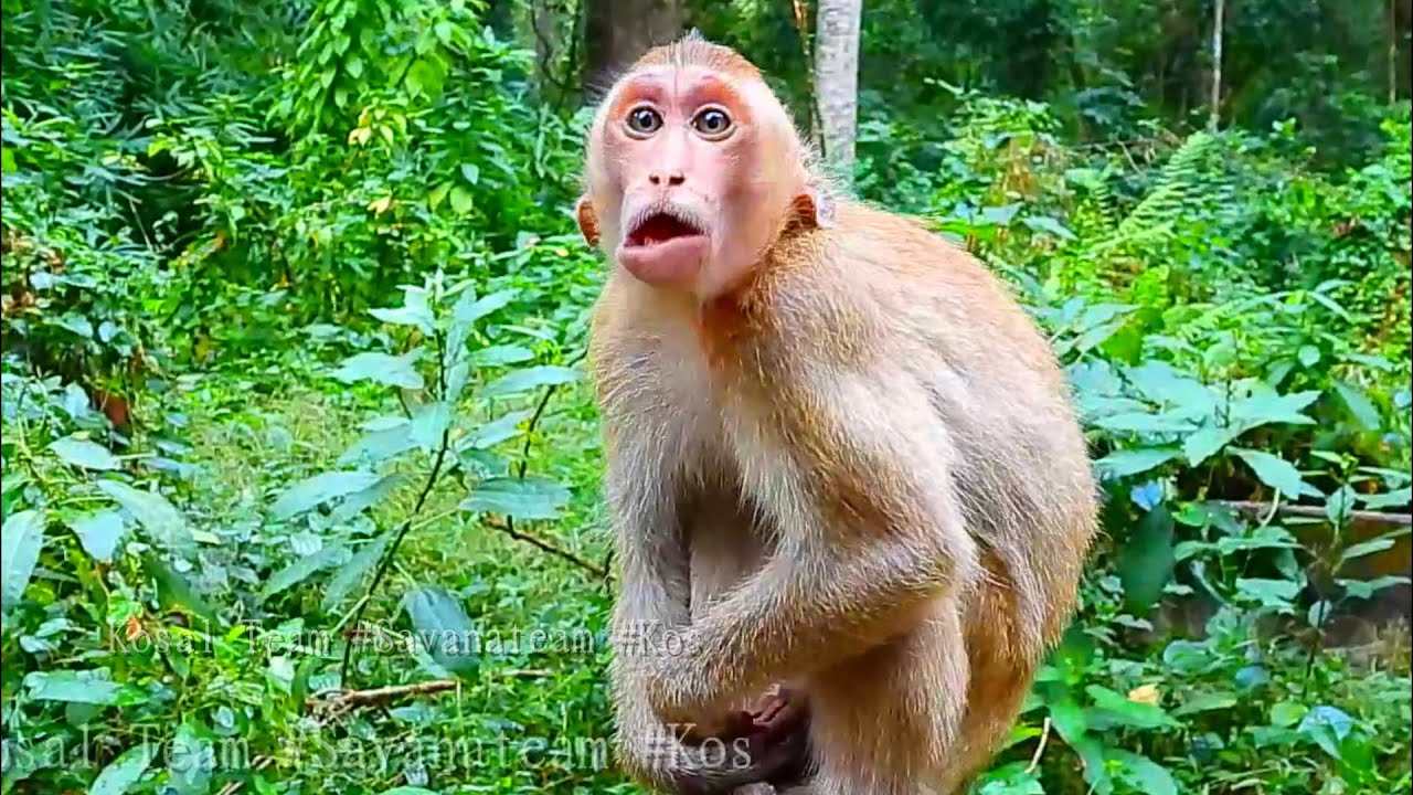 Wow Dora also loves talking - YouTube