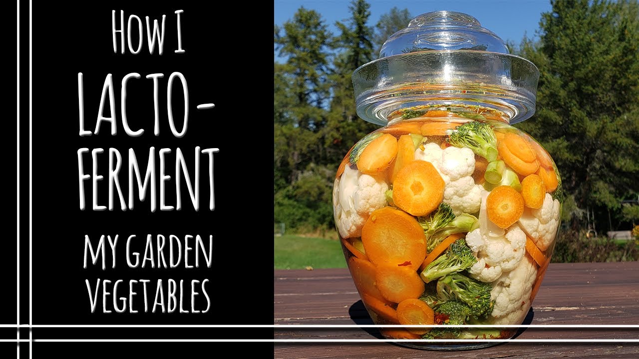 Lacto Fermenting Garden Vegetables - YouTube