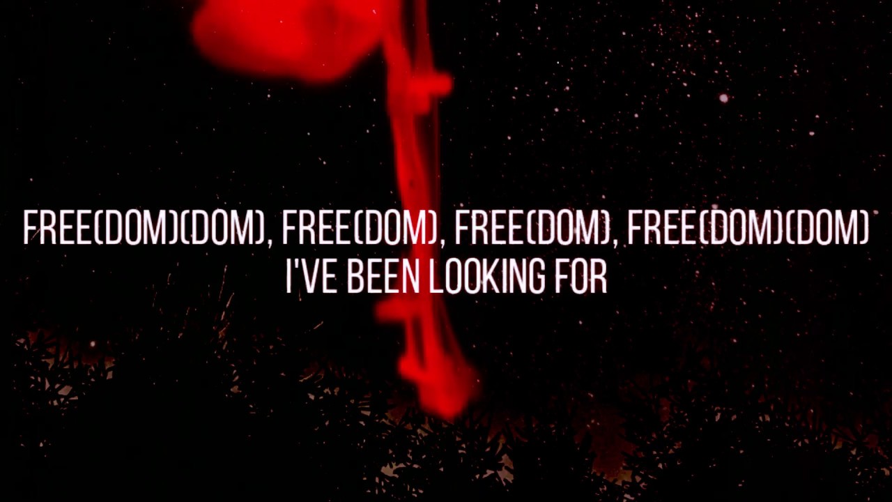 1 Kygo - Freedom ft. Zak Abel (Lyrics) Video - YouTube