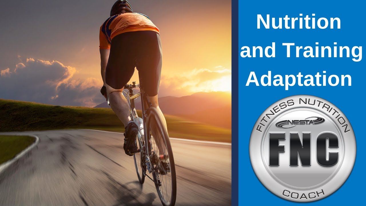 Nutrition and Training Adaptation in Fitness and Sports - YouTube