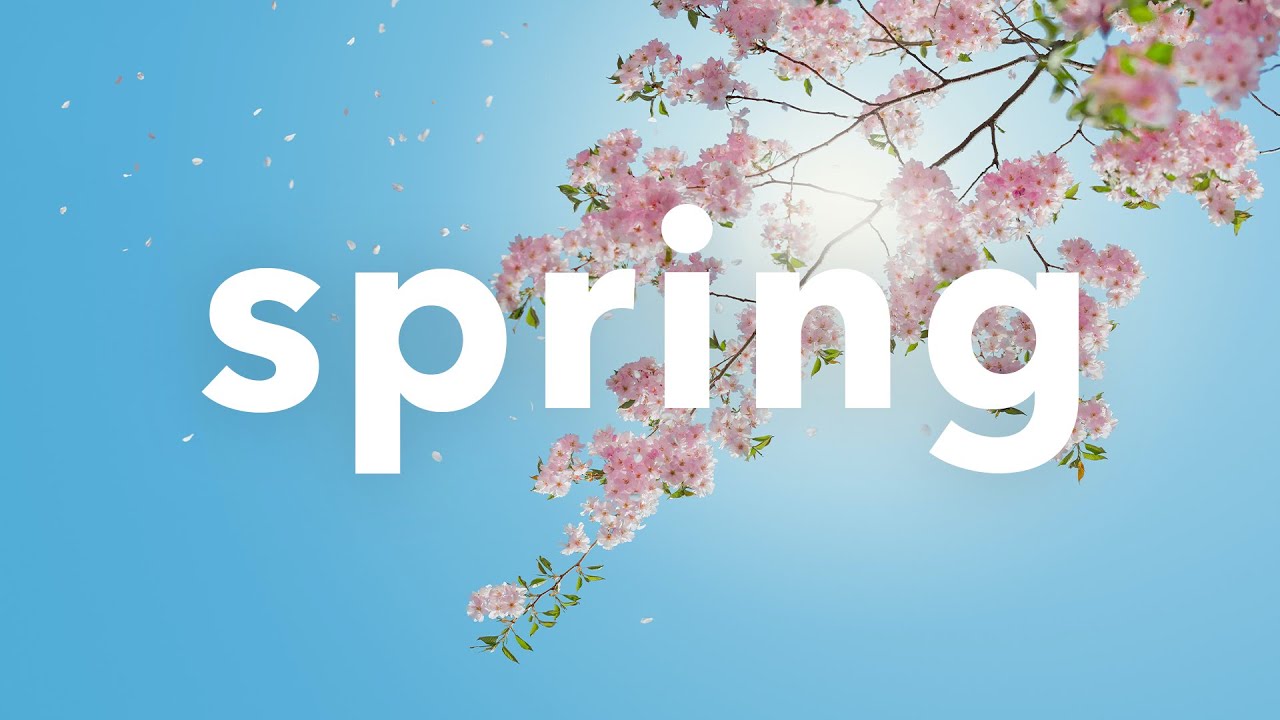🍩 Happy Spring No Copyright Free Playful & Cute LoFi Background Music ...