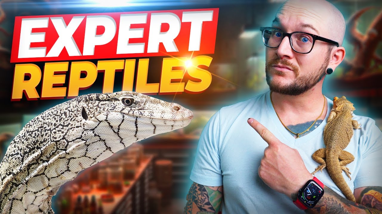 5 EXPERT Level Reptiles YOU Have NO BUSINESS Owning... right? - YouTube