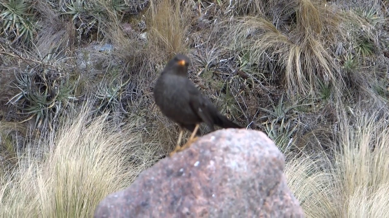 Cerro Uritorco Cordoba - YouTube