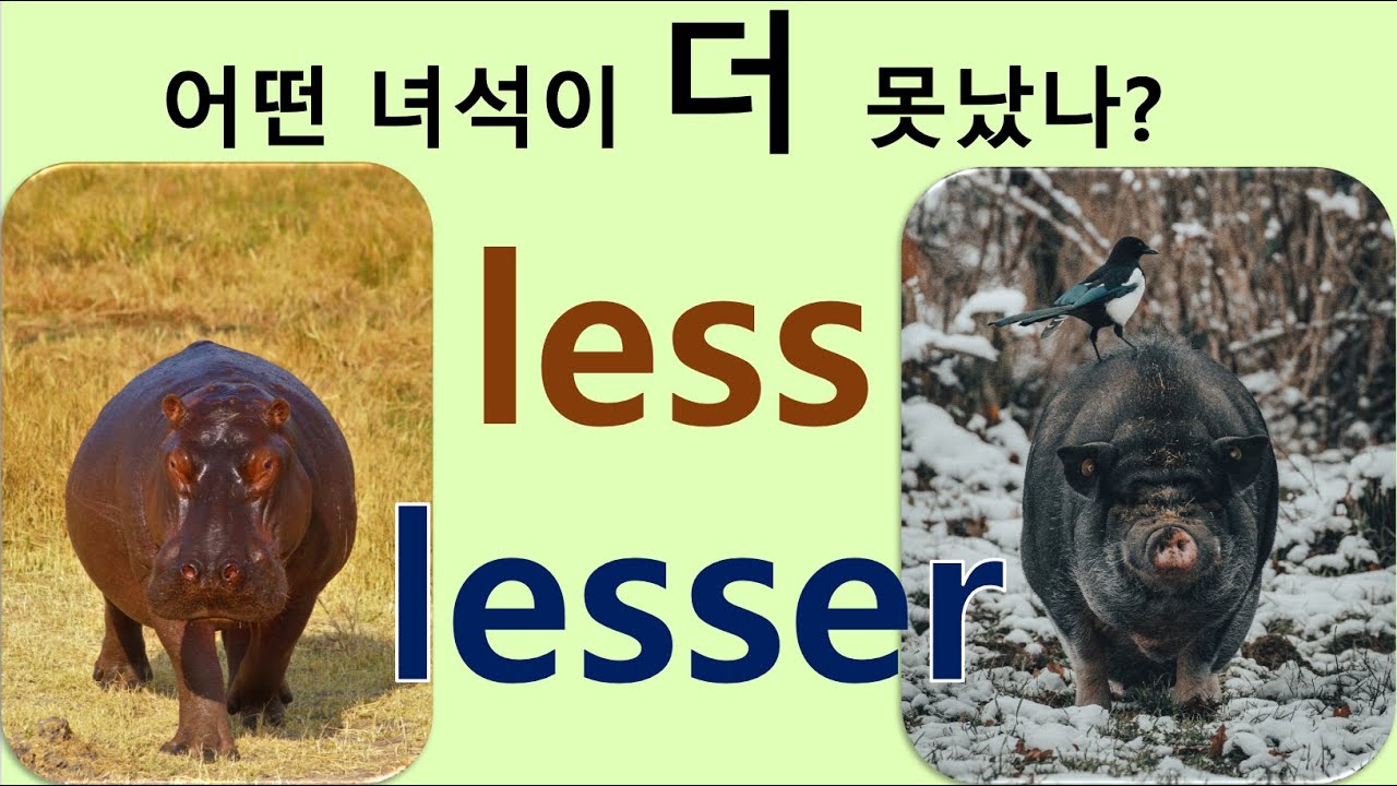 Q5 English Lesson 645 Less Vs Lesser YouTube q5-english-lesson-645-less-vs-lesser-youtube