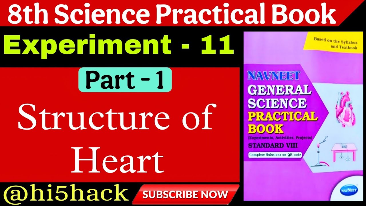 Std 8th Science Practical Book | Experiment No . 11 | Navneet Science ...