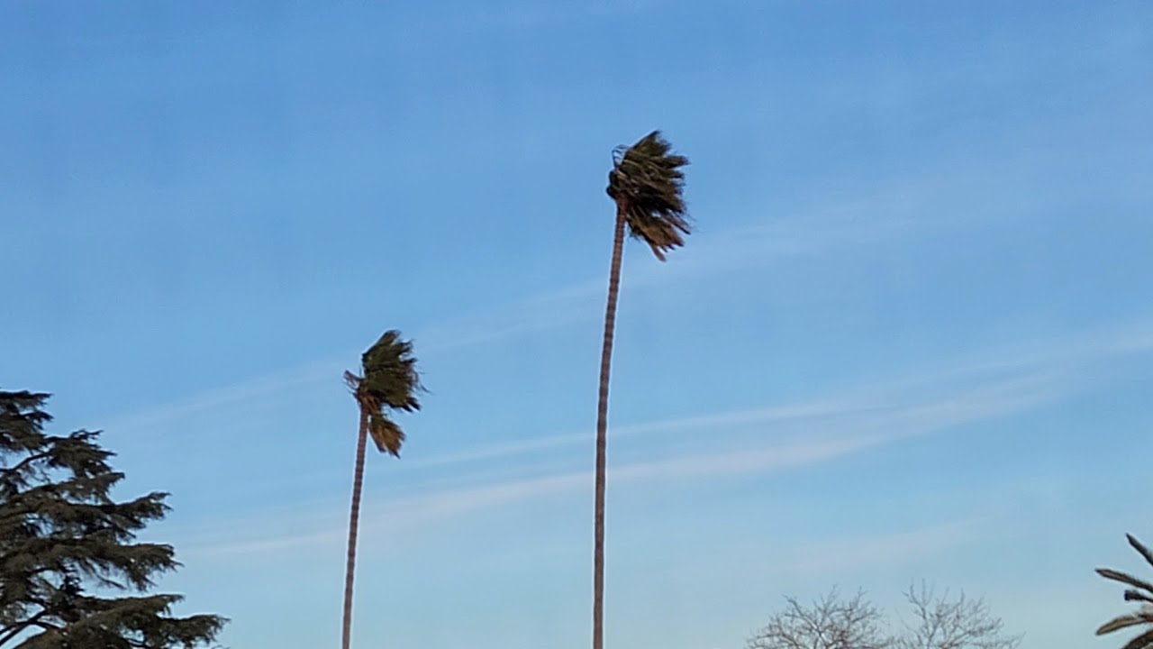 Gusty Windy NW Winds & Sunny With High Clouds 5:23pm March 1, 2023 ...