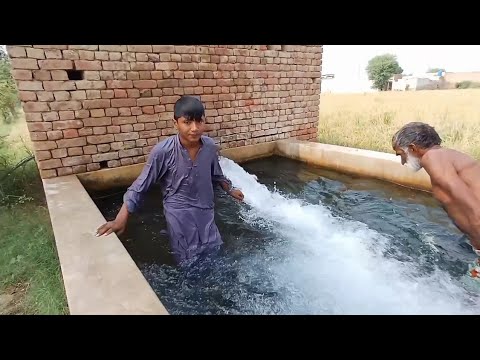 Tube well Swimming // Village Vlog - YouTube