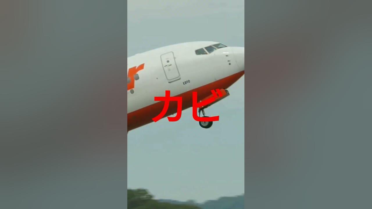 お前の乗る便はこいつだ！！#飛行機 #ana #jal #チェジュ航空 #IBEX - YouTube
