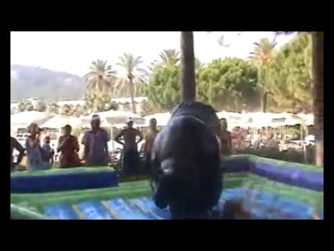 sofiane ben nacef video clip efes pilsen turkye.mp4 - YouTube