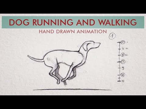 Dog running & walking - YouTube