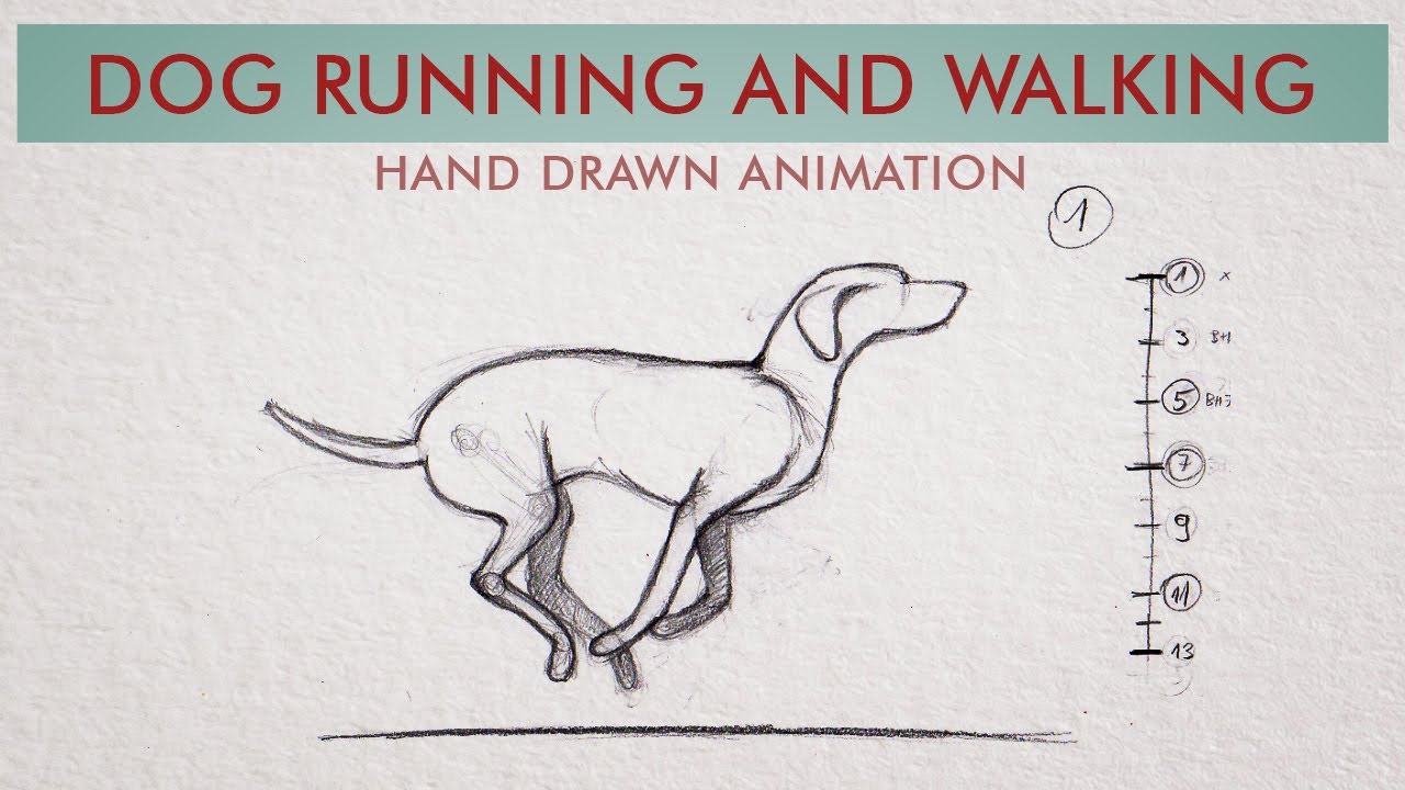 Animated Dog Running