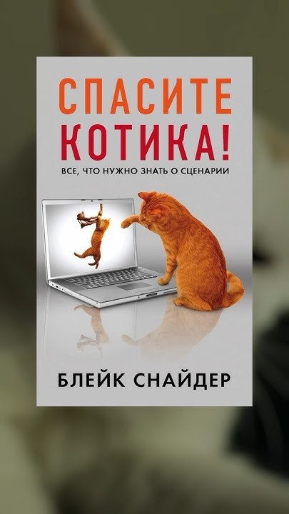 Обзор книги «Спасите котика» #фильмы #кино - YouTube