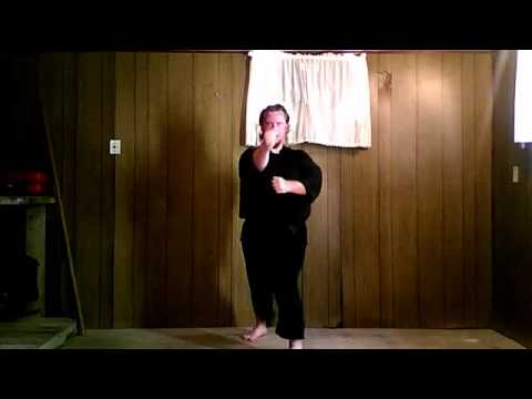 Kenpo Stance Set 1 Practice - YouTube