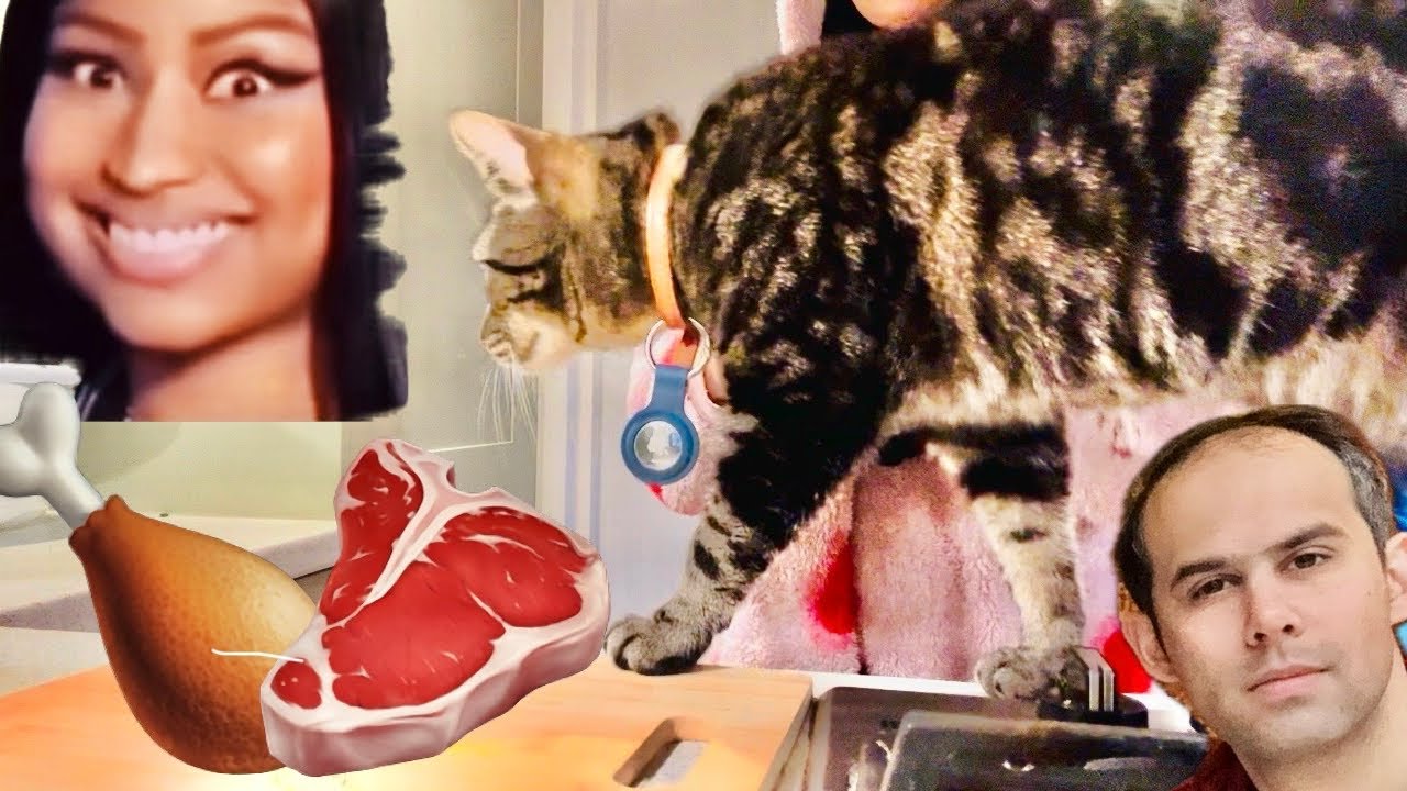 MY CAT BEING A MENACE FOR 1 MINUTE STRAIGHT - YouTube