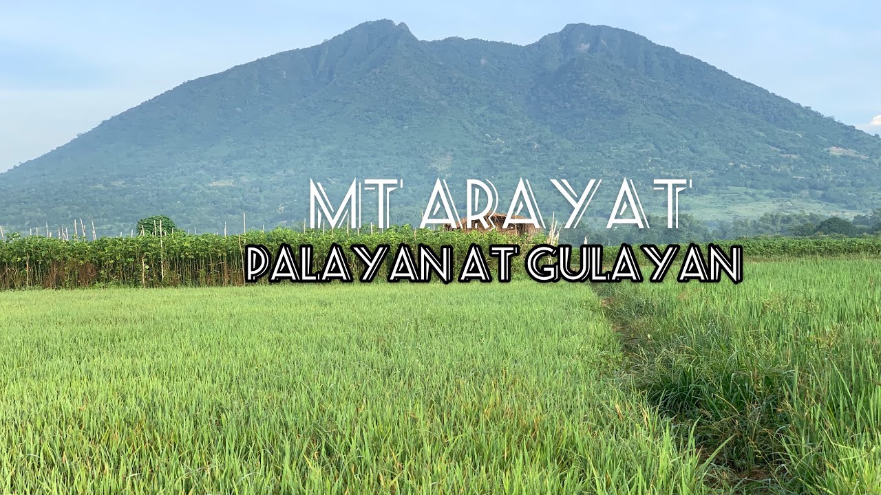 Mt. Arayat || Palayan at Gulayan - YouTube