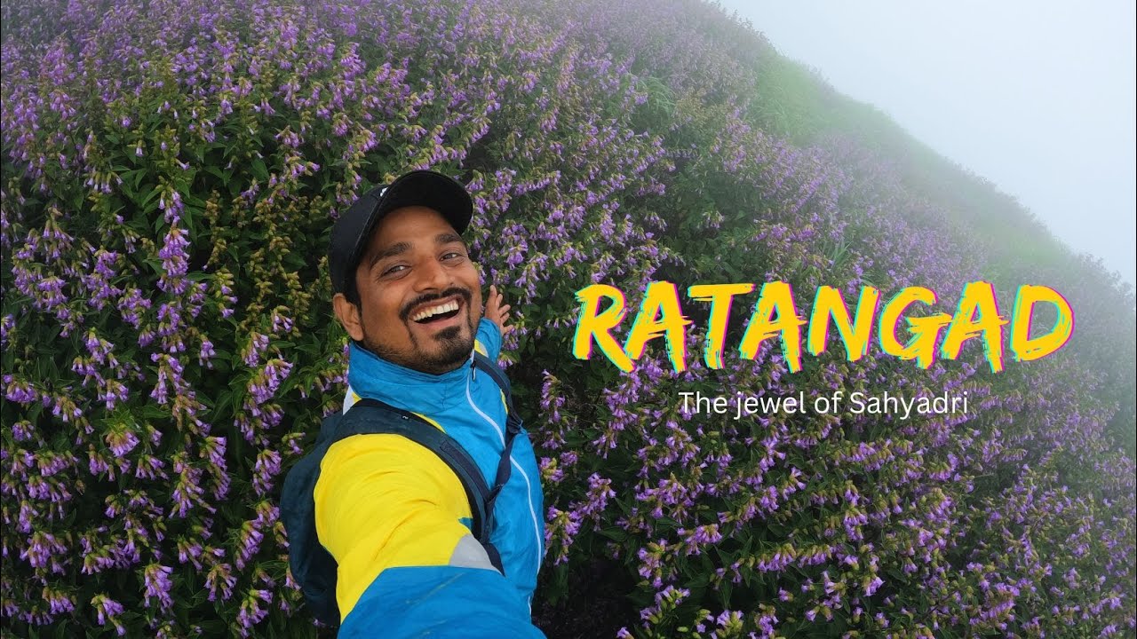 KARVY Flowers Blooms On RATANGAD Fort : Rare Flowers After 8 Years ...