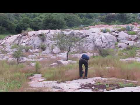 MVI 2528 Social distancing during the bird/nature walk, Ravugodlu ...