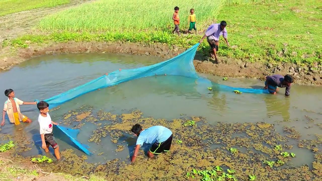 Amazing net fishing video - Best traditional net fishing video by ...