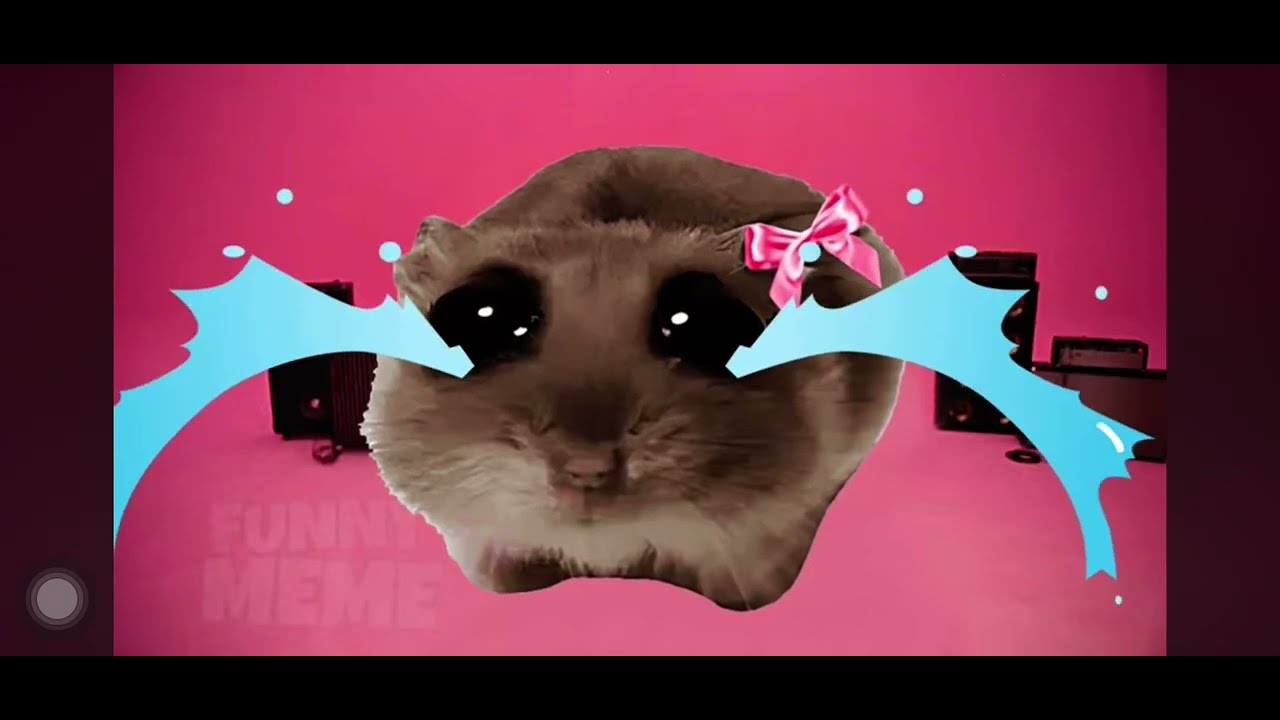 the rat singing apt she crying - YouTube