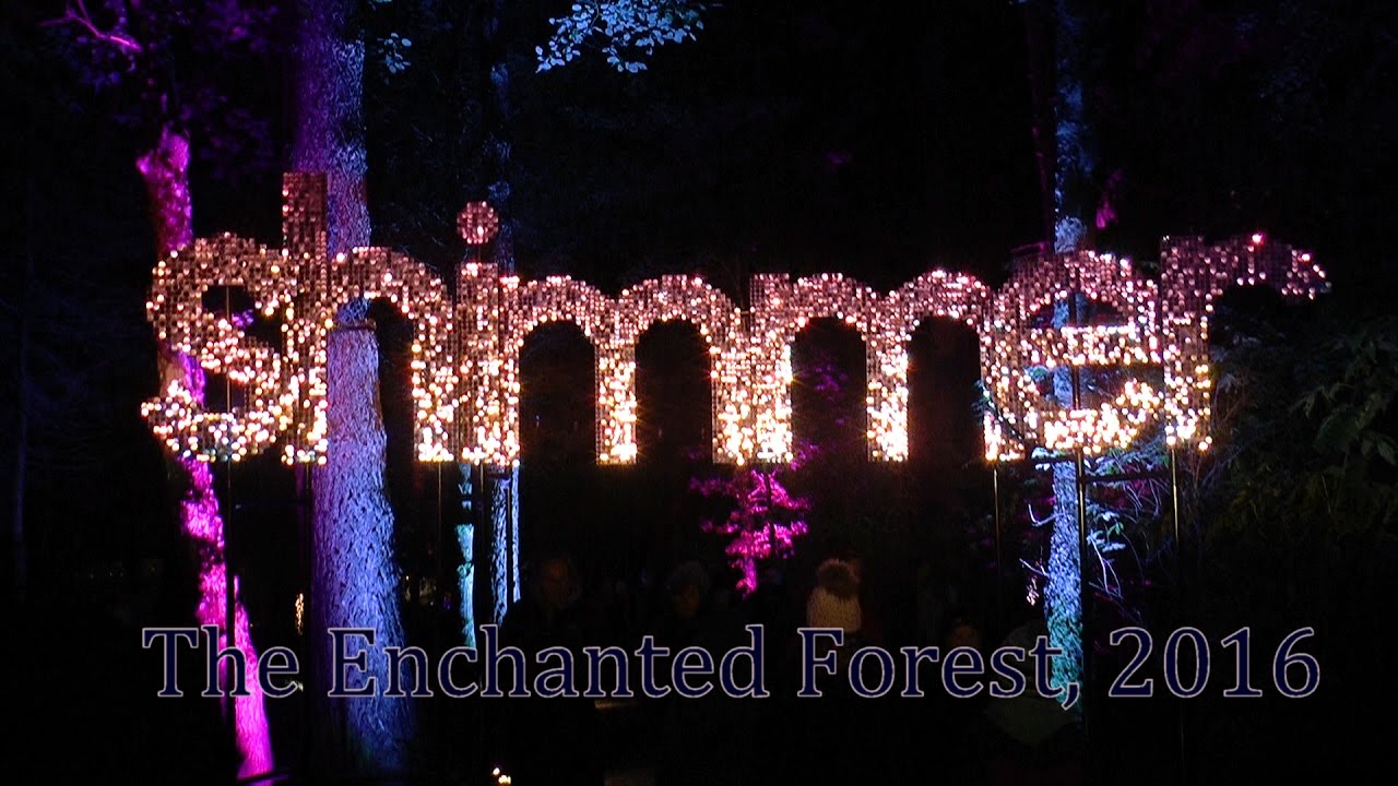 Enchanted Forest Pitlochry 2016 - SHIMMER in Faskally Wood - YouTube