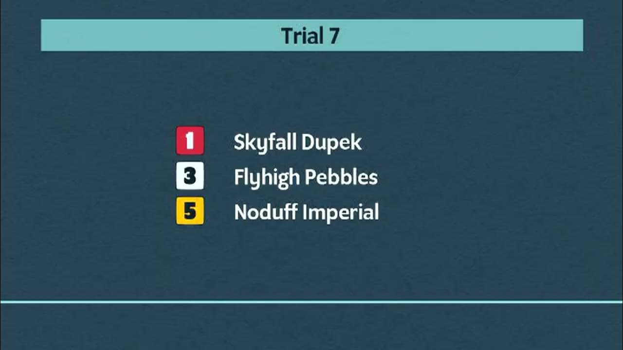 Monmore Greyhounds Trials on 13th April 2022 - YouTube Monmore Greyhounds Trials on 13th April 2022 - YouTube