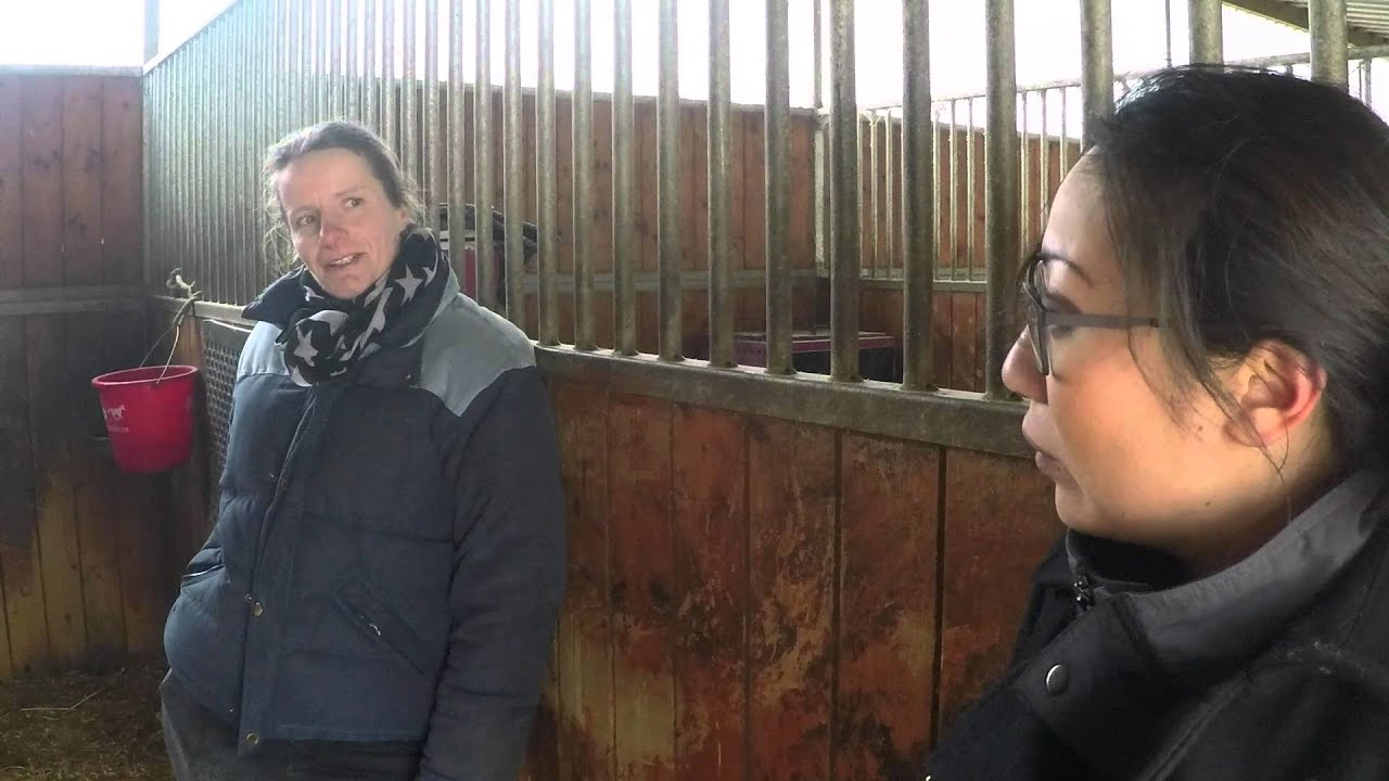 Ditte Young, Telepathy with horse in Nakskov, Denmark 2014 - YouTube