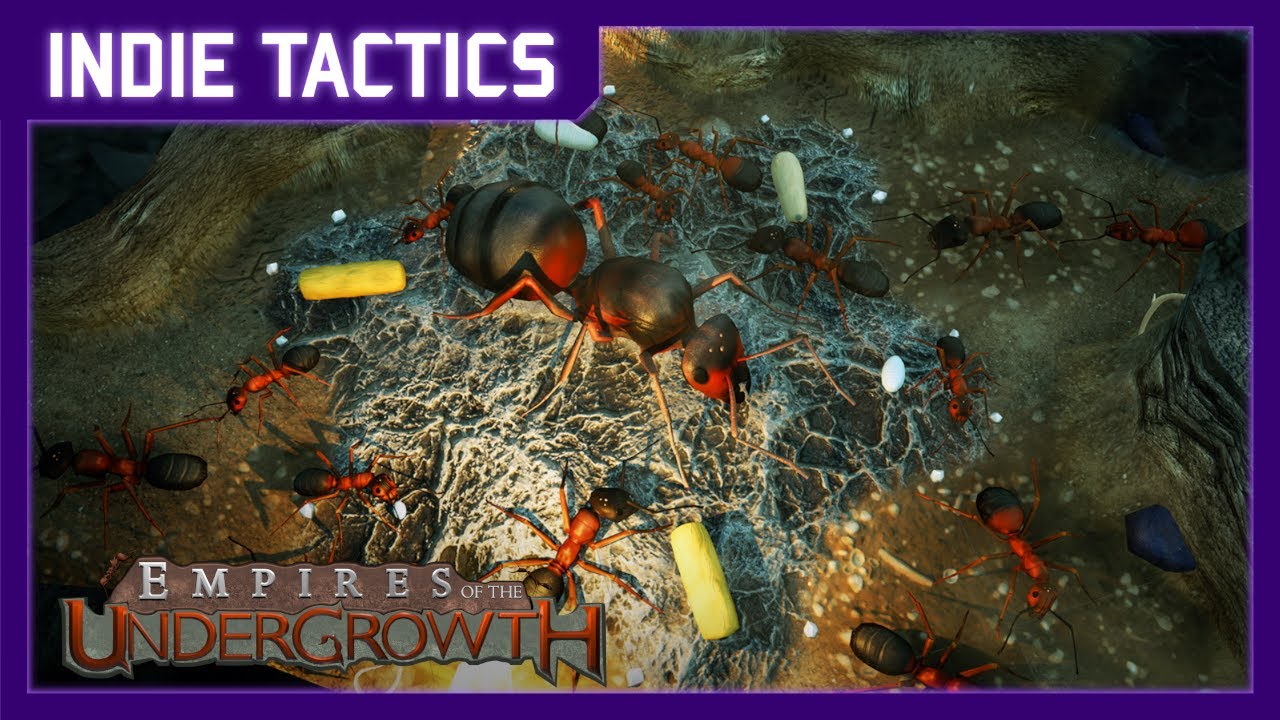 New Ant RTS Game - Empires of the Undergrowth - YouTube