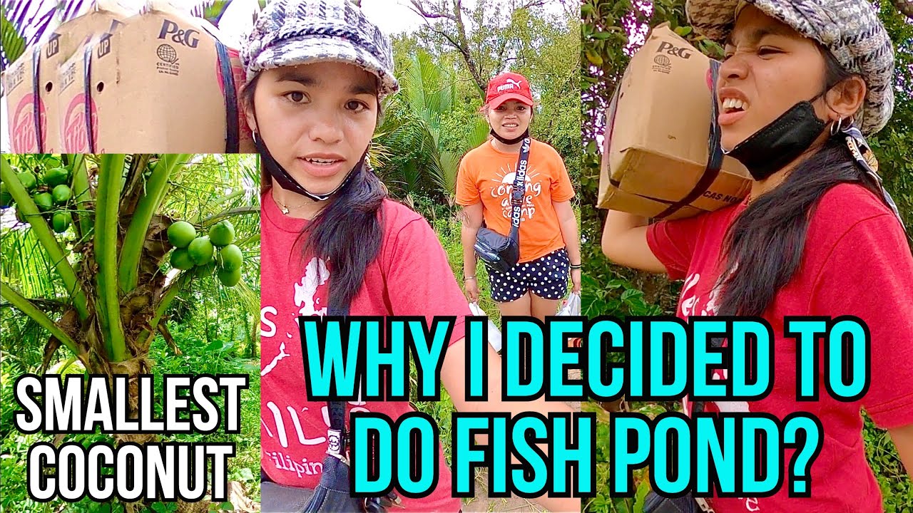 Why I decided to try Fish Pond Business | Fish Farming in the ...