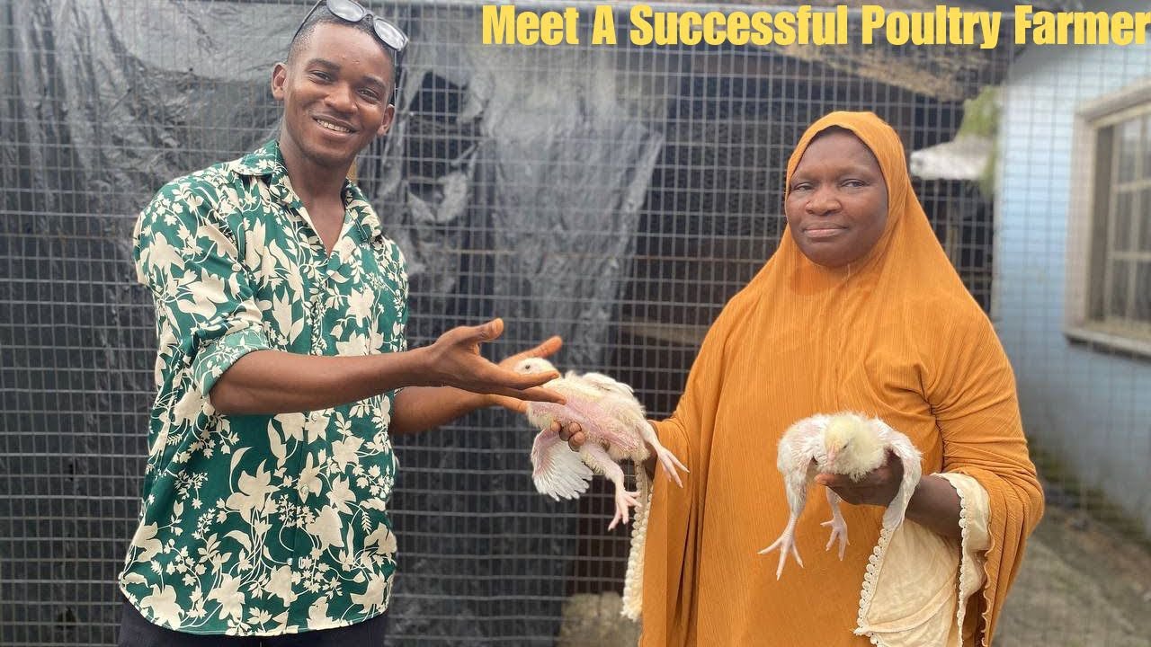 Meet The Nigerian Successful poultry Farmer!!! Making Six Figures In ...